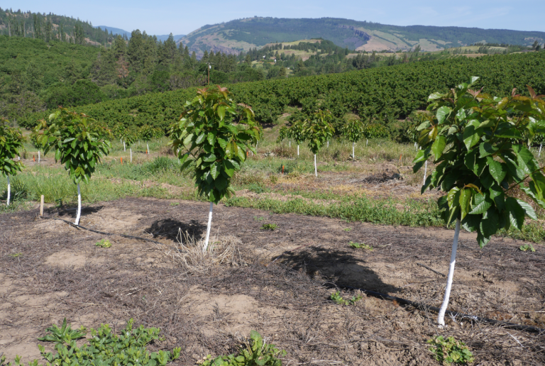 Brake On! - SePRO Ag