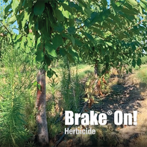 Tailgate Tips - SePRO Ag